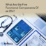 What Are the Five Functional Components Of an Ehr? - Ambula Healthcare