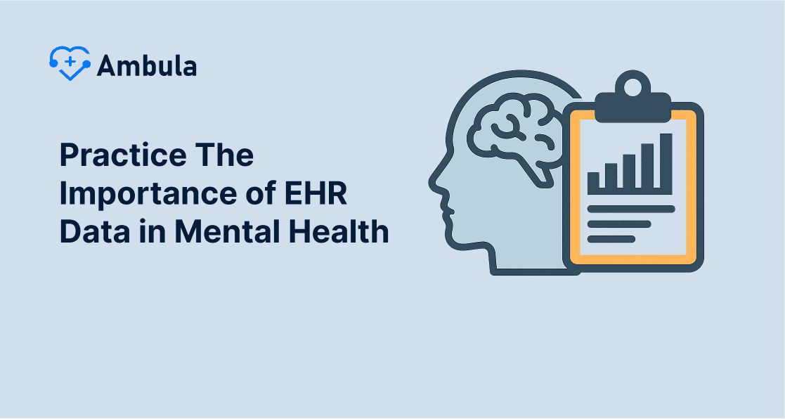 What Are the Five Functional Components Of an Ehr? - Ambula Healthcare